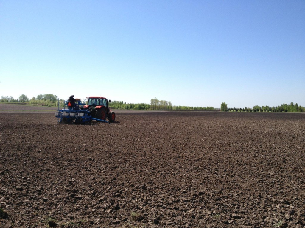 Corn Plot Planted Today! | Kane County Corn Growers